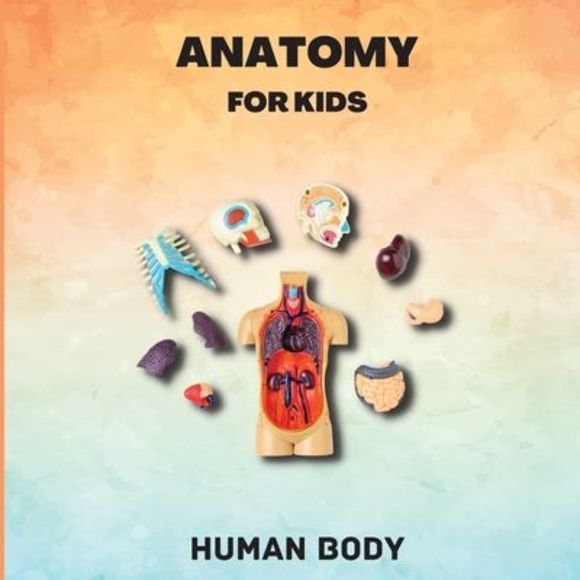Peter L Rus | Other | Anatomy For Kids Human Body Human Body ...